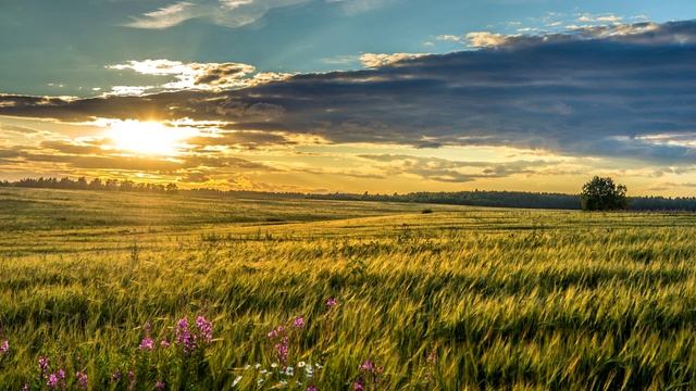ДОГОНИ МЕНЯ👍(В.Черницкий)👍👍👍