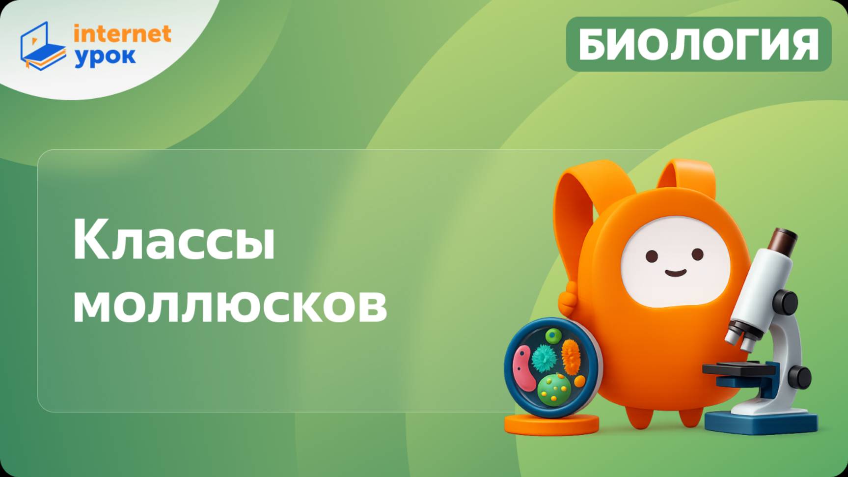 Классы моллюсков. Видеоурок по биологии 7 класс
