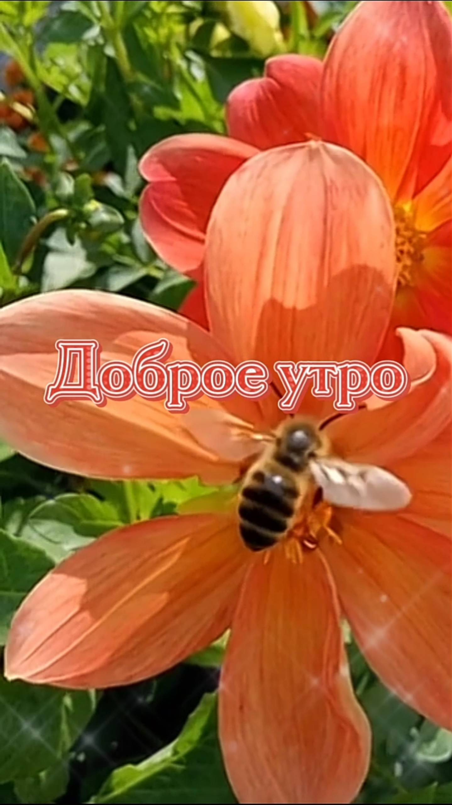 Доброе утро, сладкого пробуждения