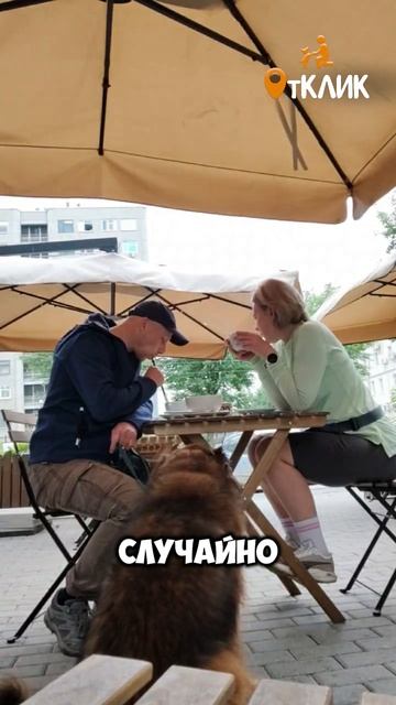 Большой секрет для маленькой компании 🤫
