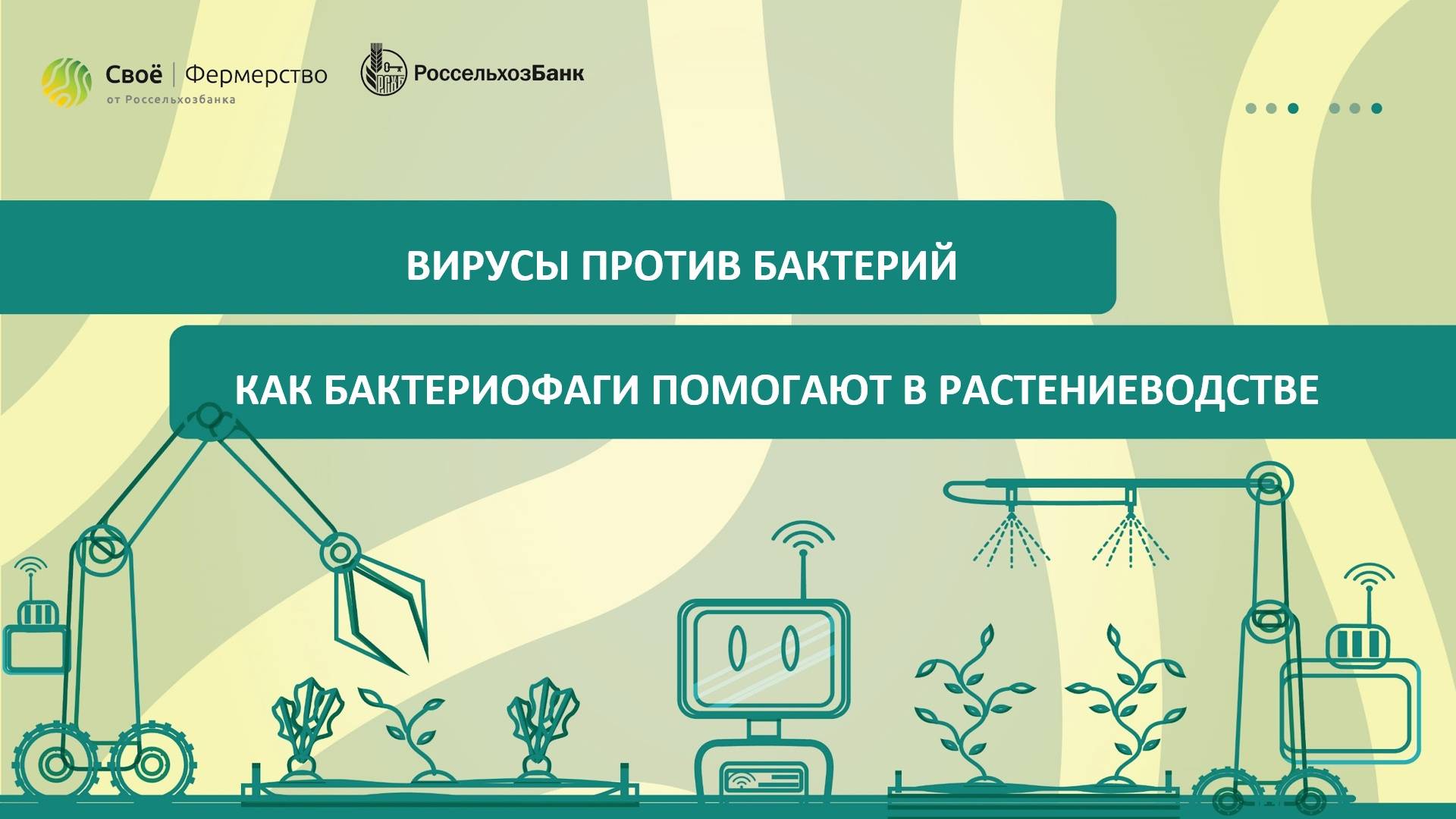 Вирусы против бактерий: как бактериофаги помогают в растениеводстве