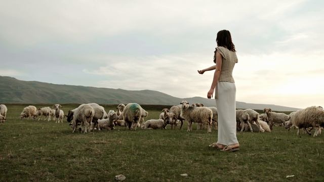 9906569-uhd_4096_2160_25fps