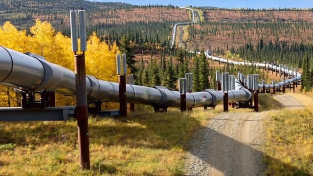 Эффект полета над трубопроводом в лесу.