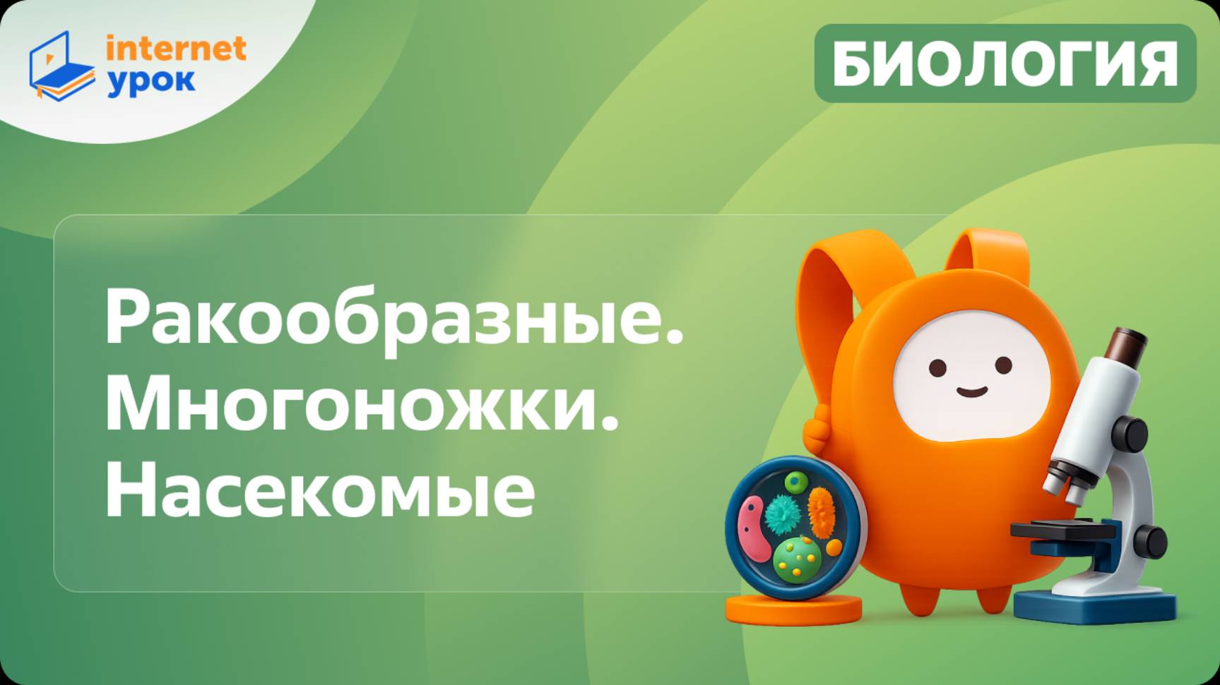 Ракообразные. Многоножки. Насекомые. Видеоурок по биологии 7 класс