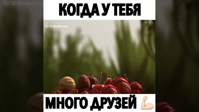 Когда у тебя много друзей