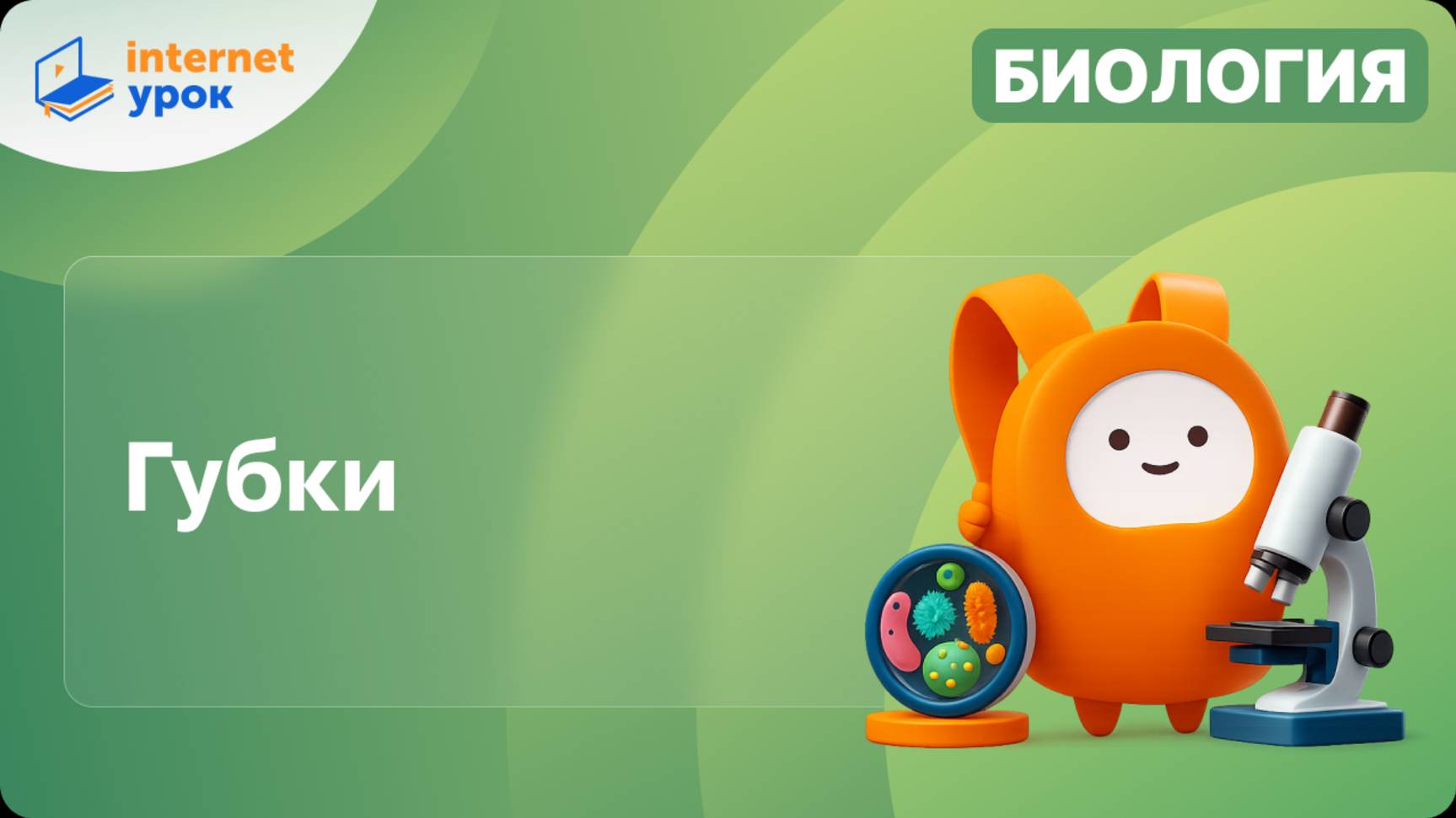 Губки. Видеоурок по биологии 7 класс