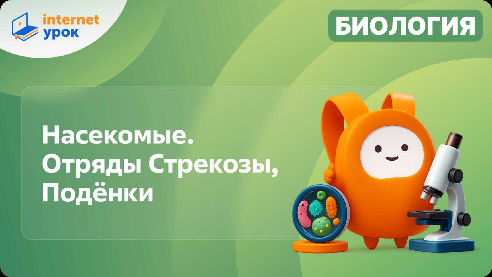 Насекомые. Отряды Стрекозы, Подёнки. Видеоурок по биологии 7 класс