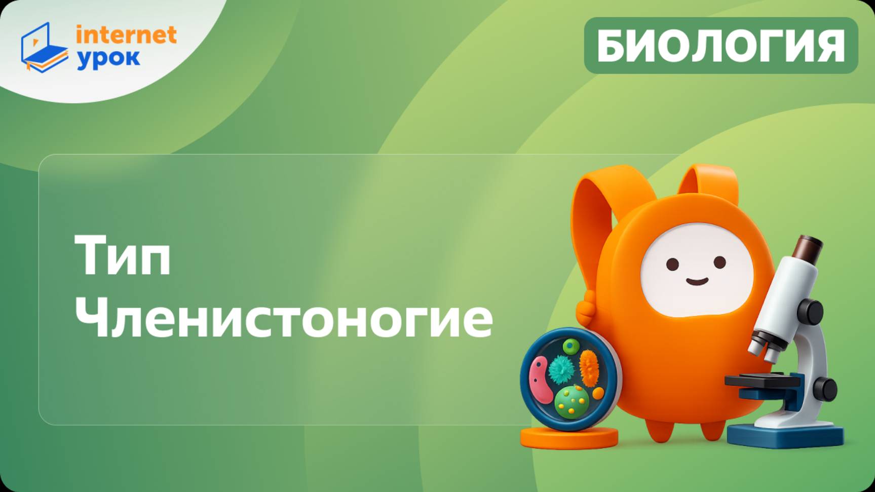 Тип Членистоногие. Видеоурок по биологии 7 класс