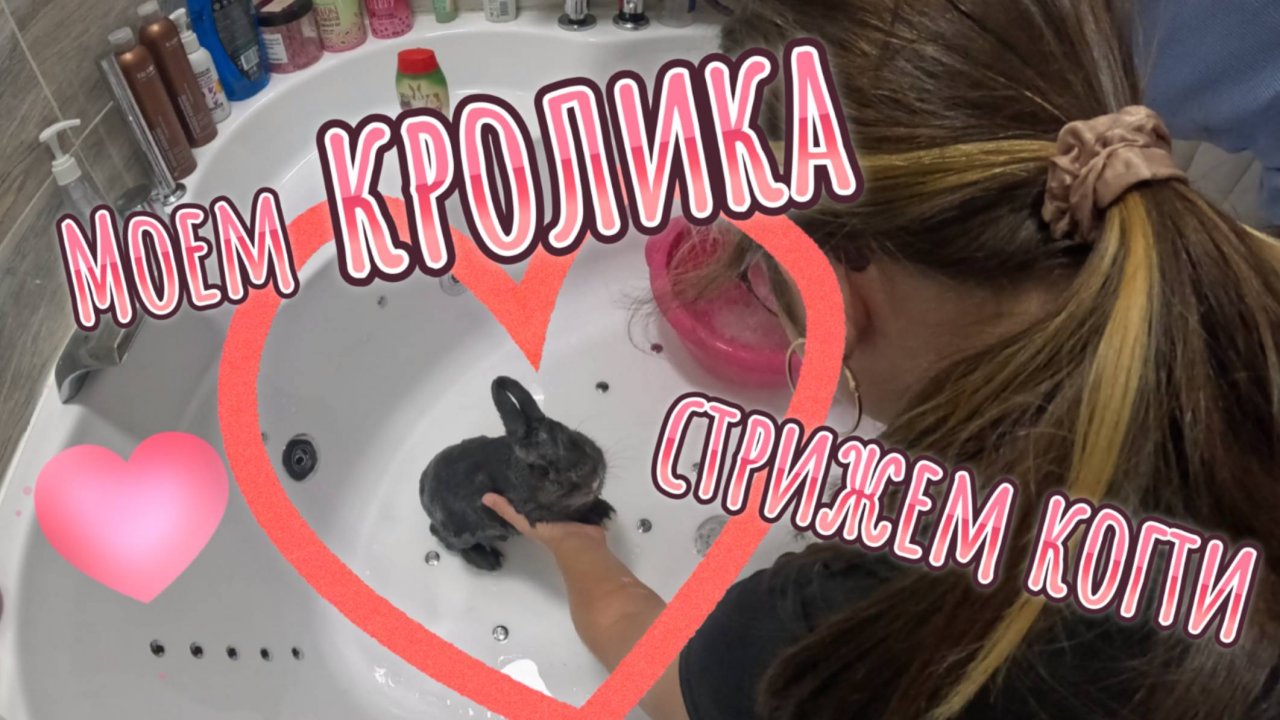 Делаем спа-процедуры кролику Маргусику❤️