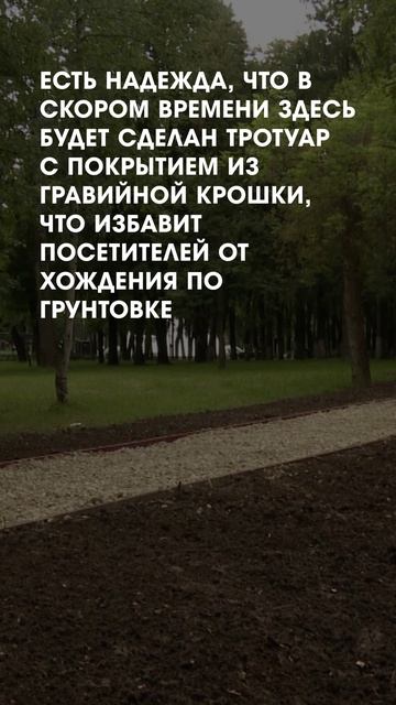 Возвращение дорожек в парке Мира