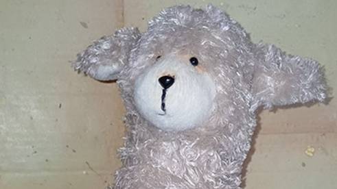 Лама Боня от Миадолы