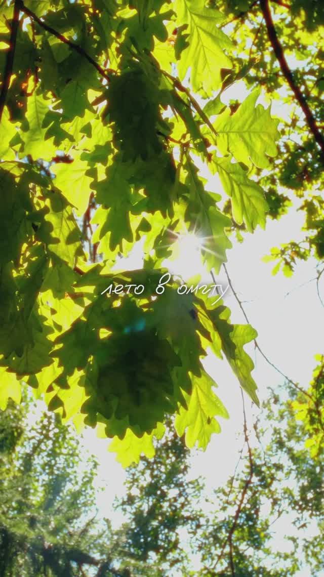 Вот и лето прошло ☀