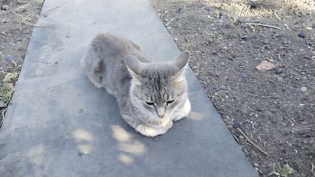 МЕНЯ ВЫБРОСИЛО ИЗ КОЛЕИ😭 МЕНЯ СВАЛИЛО🥲
