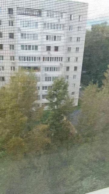 Обзор моего двора