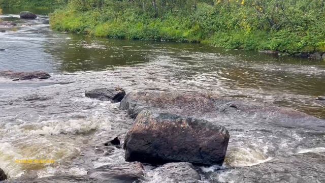 Последняя попытка поймать кумжу в Реке.