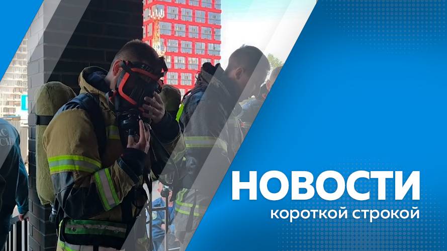 Новости короткой строкой 29.08.2025