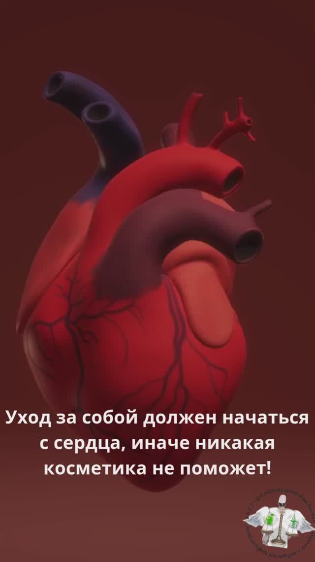 Уход за собой должен начаться с сердца! #сердце #здоровье #профилактика #армавир