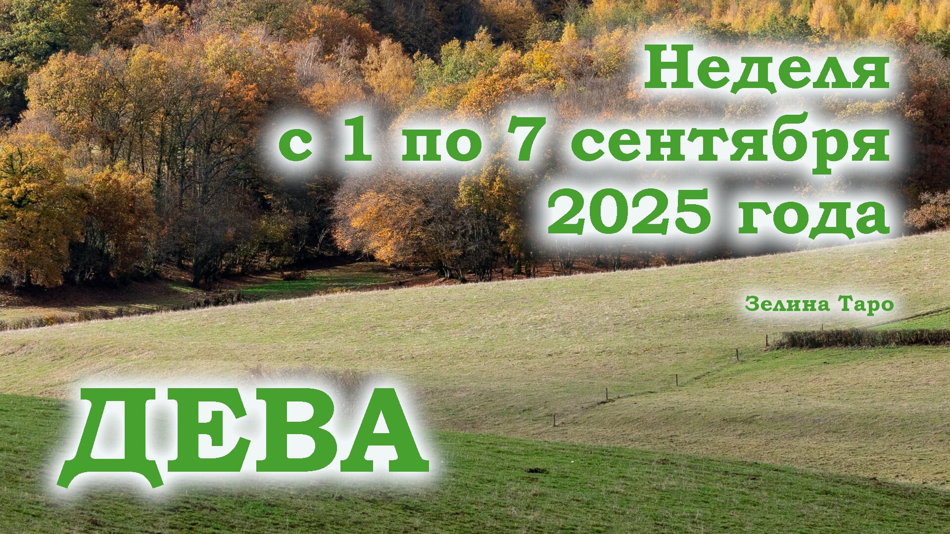 ДЕВА | Таро прогноз на неделю 1–7 сентября 2025 | События, предостережение и совет Таро