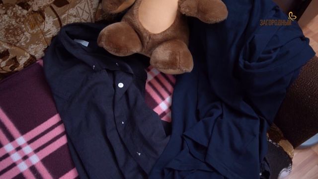 Тизер. Феи порядка. Новая серия. Фотогеничная библиотека. Канал Загородный