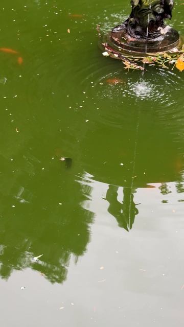 Ботанический сад