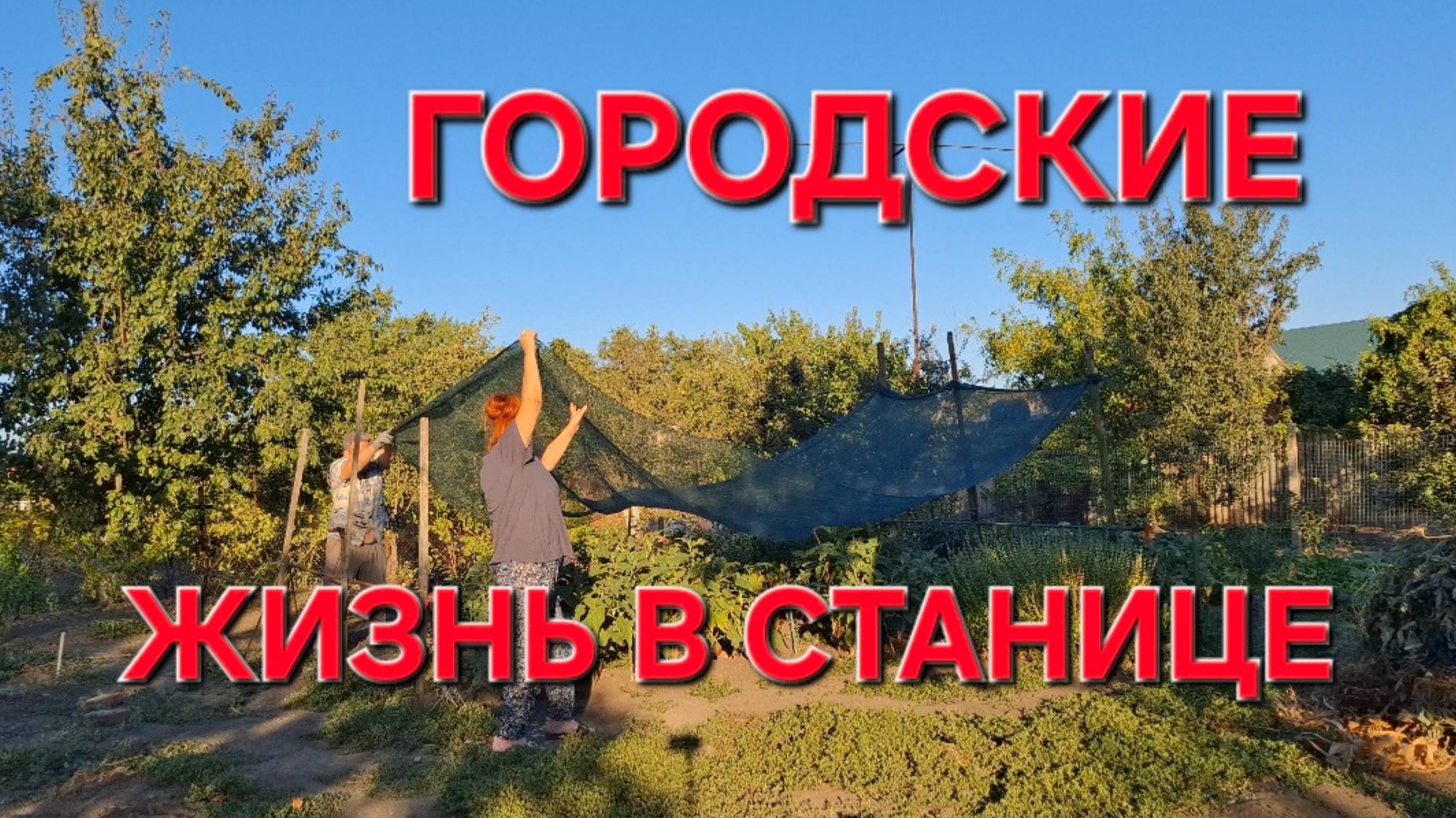 726 Простая жизнь Городских в станице на юге.Просто Так. Торт с морковкой.