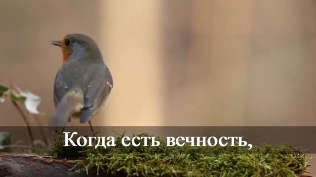 7. Мой Бог по имени Любовь