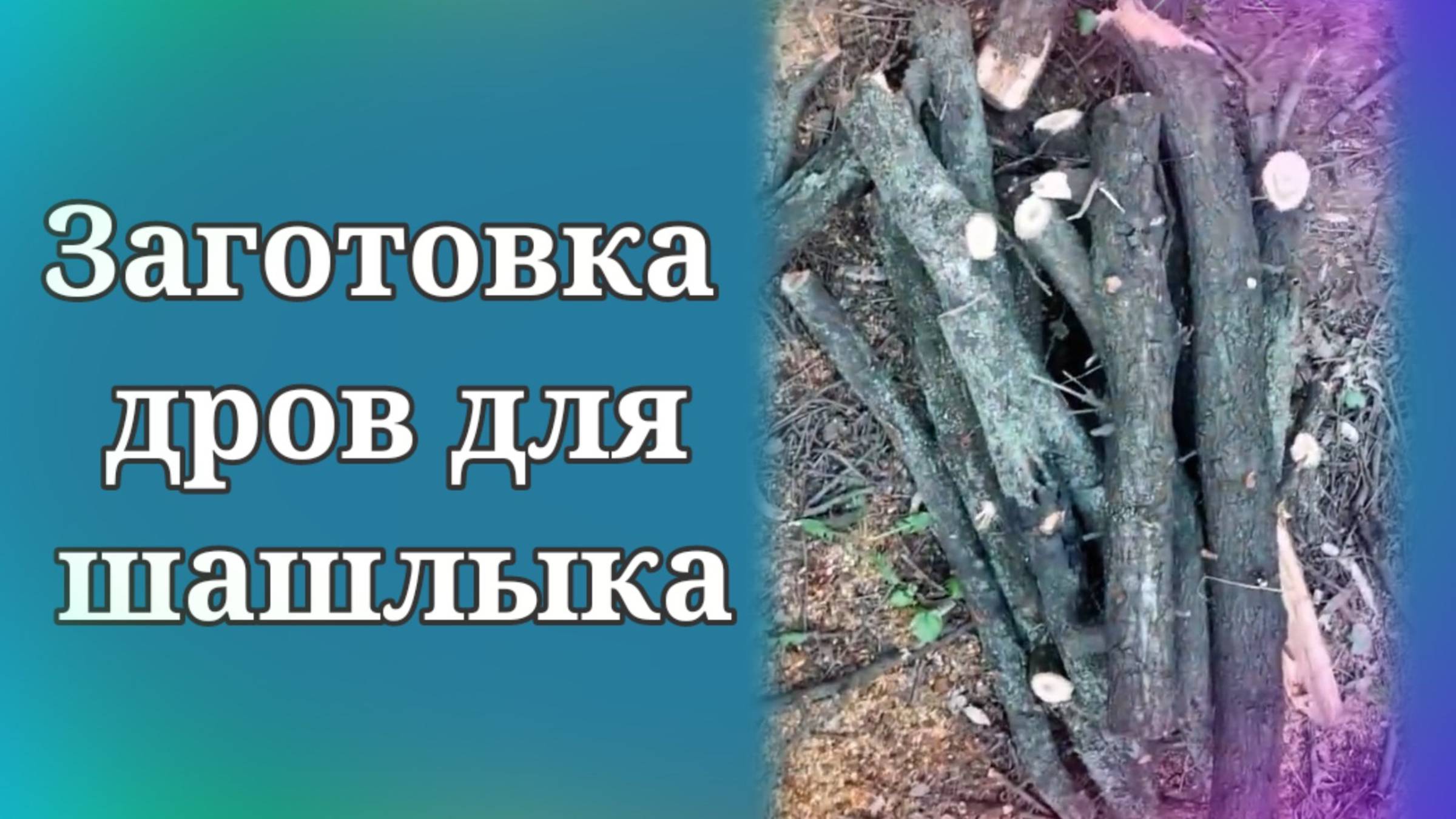Заготовка дров для шашлыка