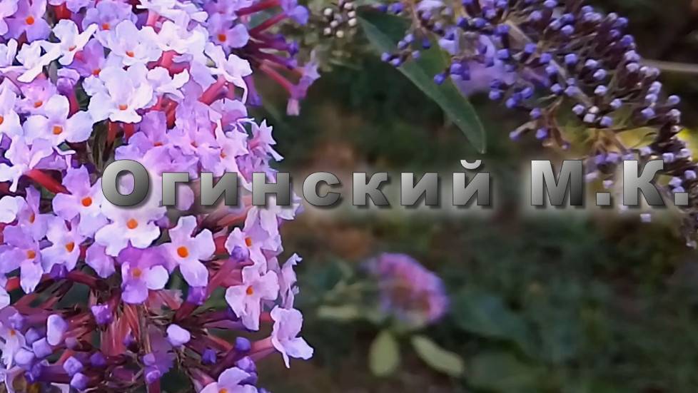 Огинский М.К. Полонез № 6 до минор. Музыка для души