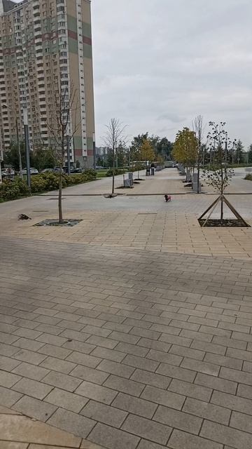 Такса
