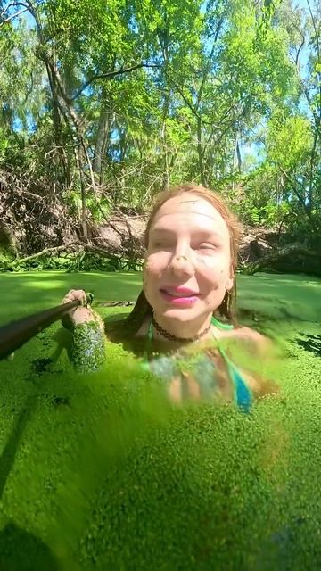 Вода и ряска