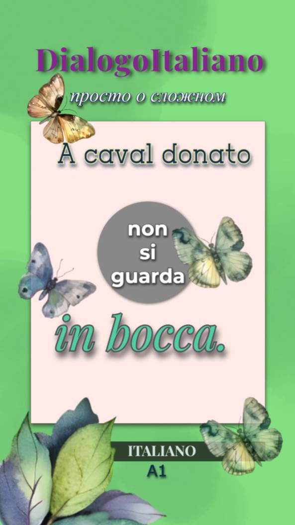 Italiano с русским акцентом - a caval donato non si guarda in bocca