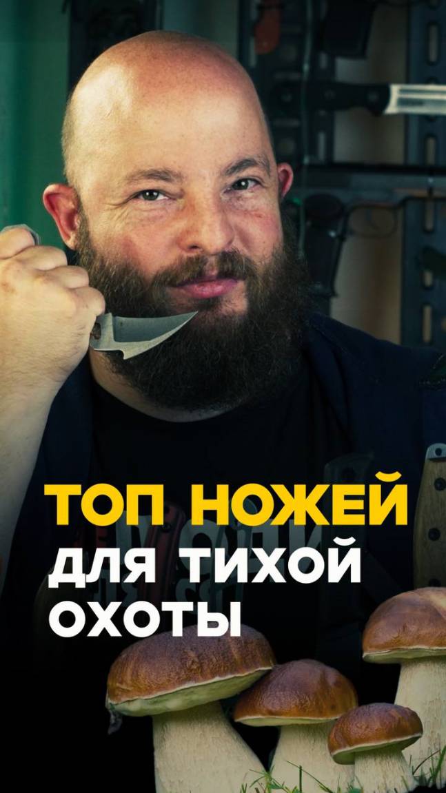 С чем идем за грибами?!