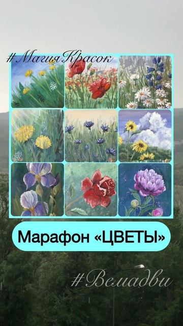 Чем заняться в непогоду?