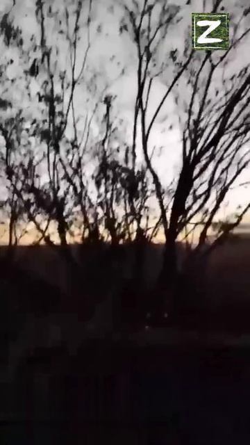 СВО