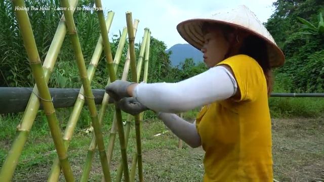 The Heavy Flood Almost Destroyed My Bamboo Bridge - Build Long Fence Around Bamboo House