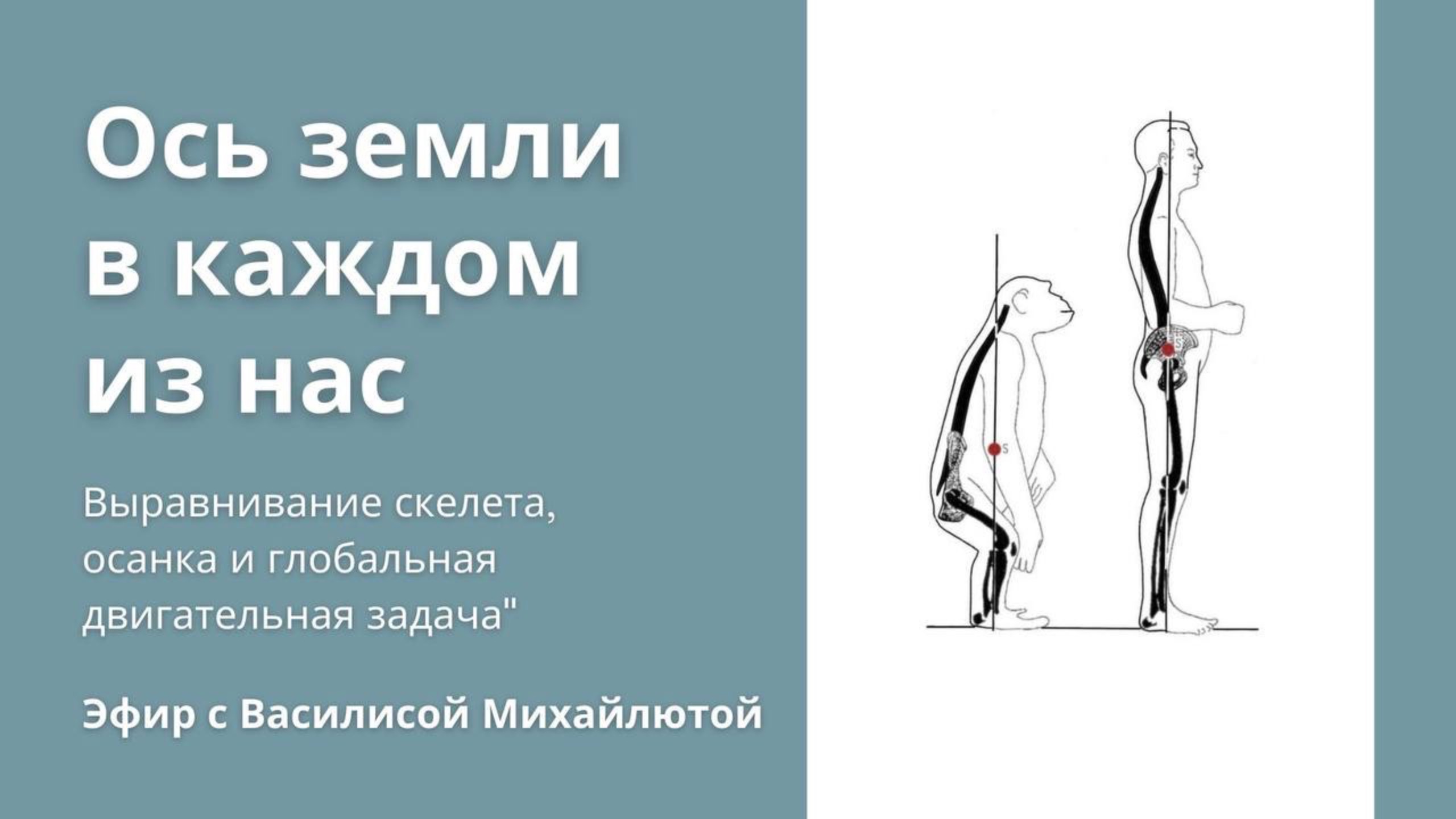 Василиса Михайлюта - вебинар "Ось земли в каждом из нас"