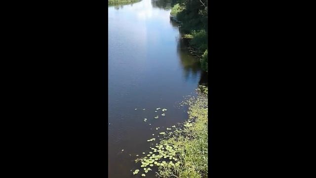 Ты только осень ( дуэт ) стихи муз исп Михаил Артемьев исп фото видео Татьяна Талызина