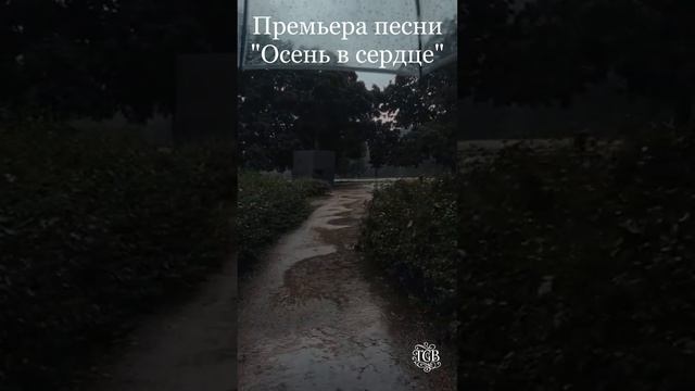 Премьера песни "Осень в сердце" Автор: Сергей Толпыгин