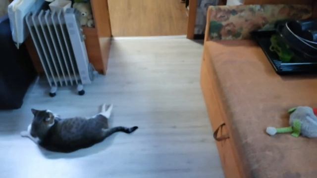 2022 г * СЛЕГКА РЕМОНТНЫЙ ВЛОГ * МОЯ ЧЁЛКА ДЕТИ ГОВОРЯТ ДА