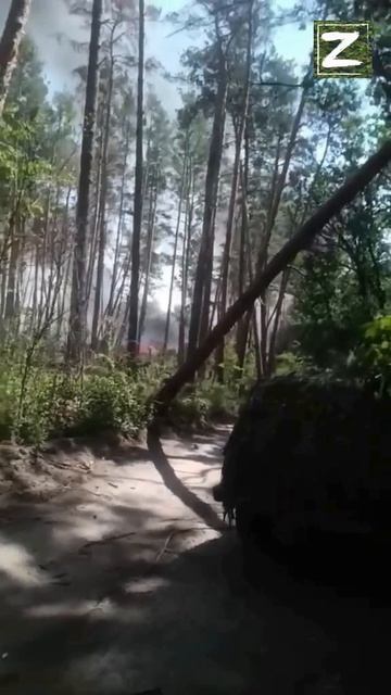 СВО
