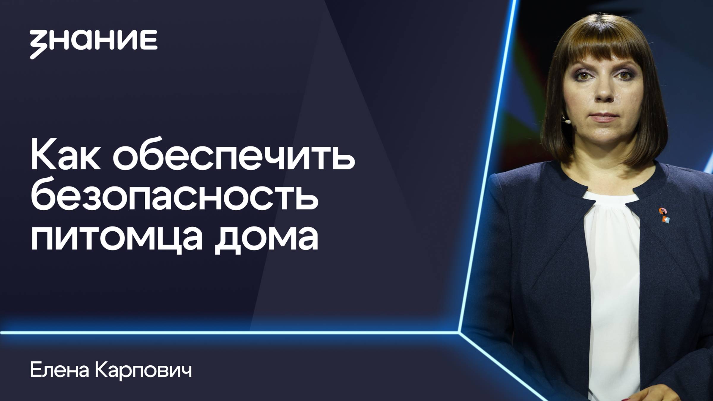 Грани смыслов | Елена Карпович | Как обеспечить безопасность питомца дома