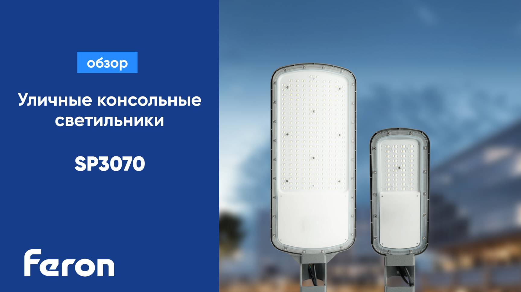 Уличные консольные светильники Feron SP3070
