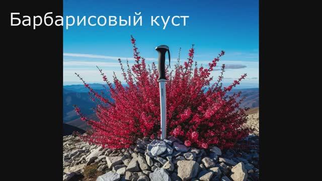 Барбарисовый куст