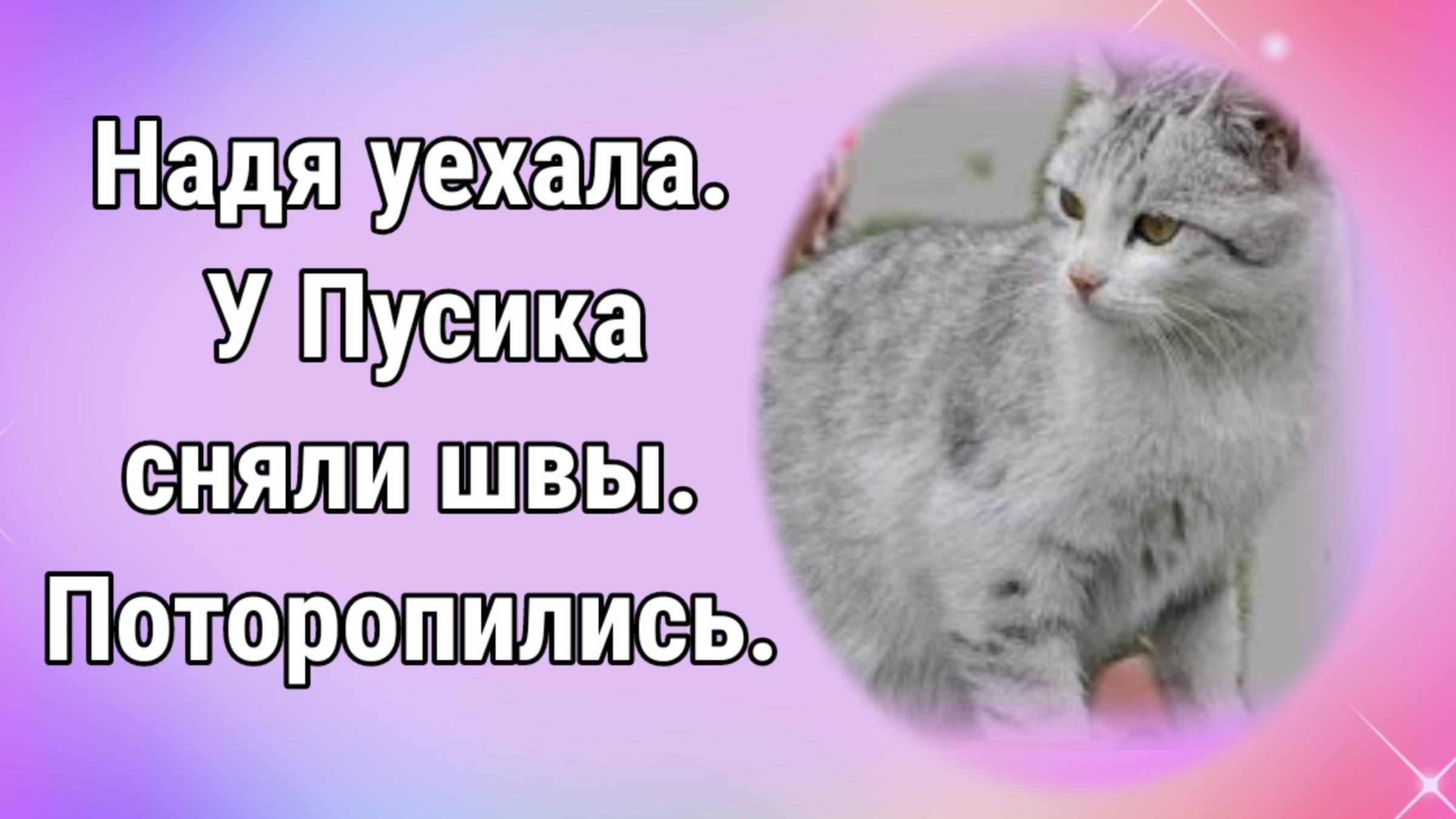 Надя уехала. У Пусика сняли швы. Поторопились