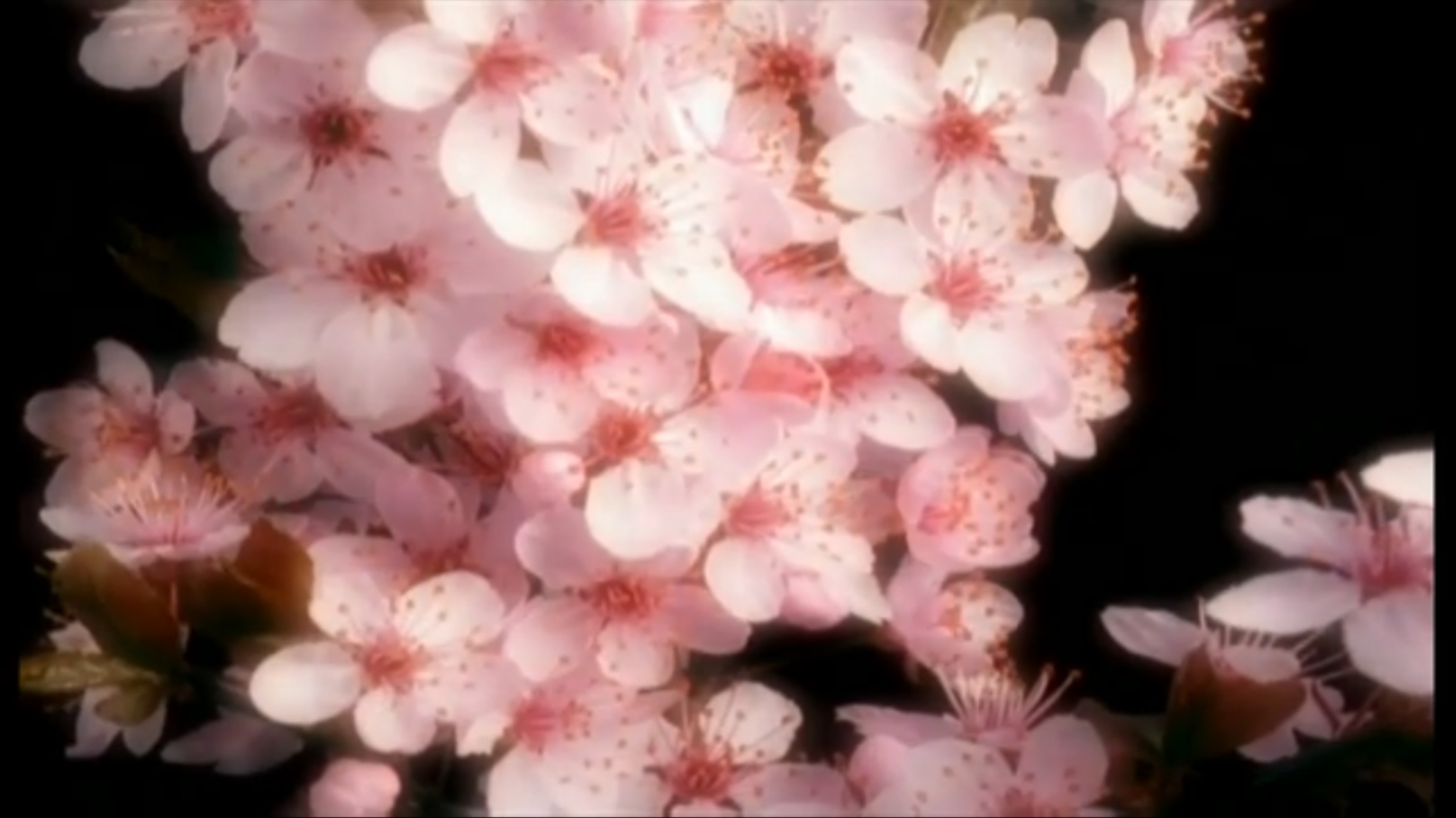 J. Stelling. & S. Kalashnikov. Happy End 2 - версия романтик 🌸
