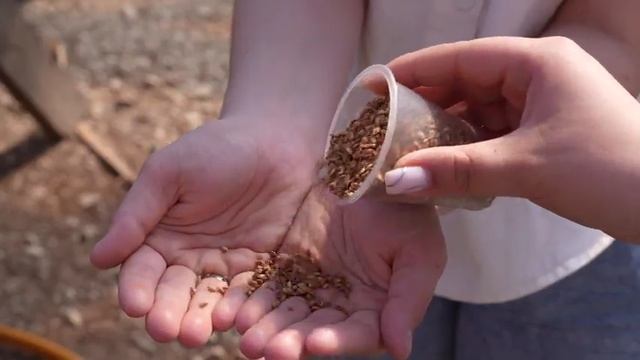 Новоселова Галина. Мы сильнее огня.
