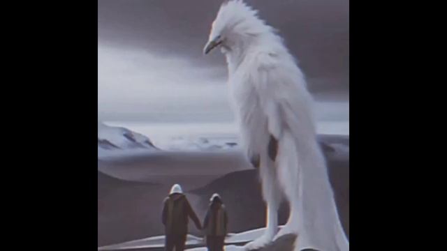 Willow project 2026 season 2 all episodes DaRealRuby