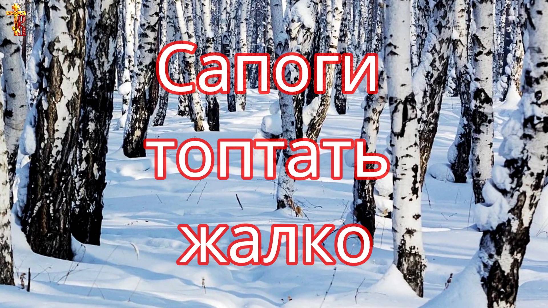 Сапоги топтать жалко.