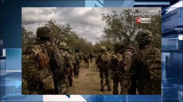 Депутат Рады:  если небольшое подразделение ВСУ зайдёт в Белоруссию, её армия сложит оружие