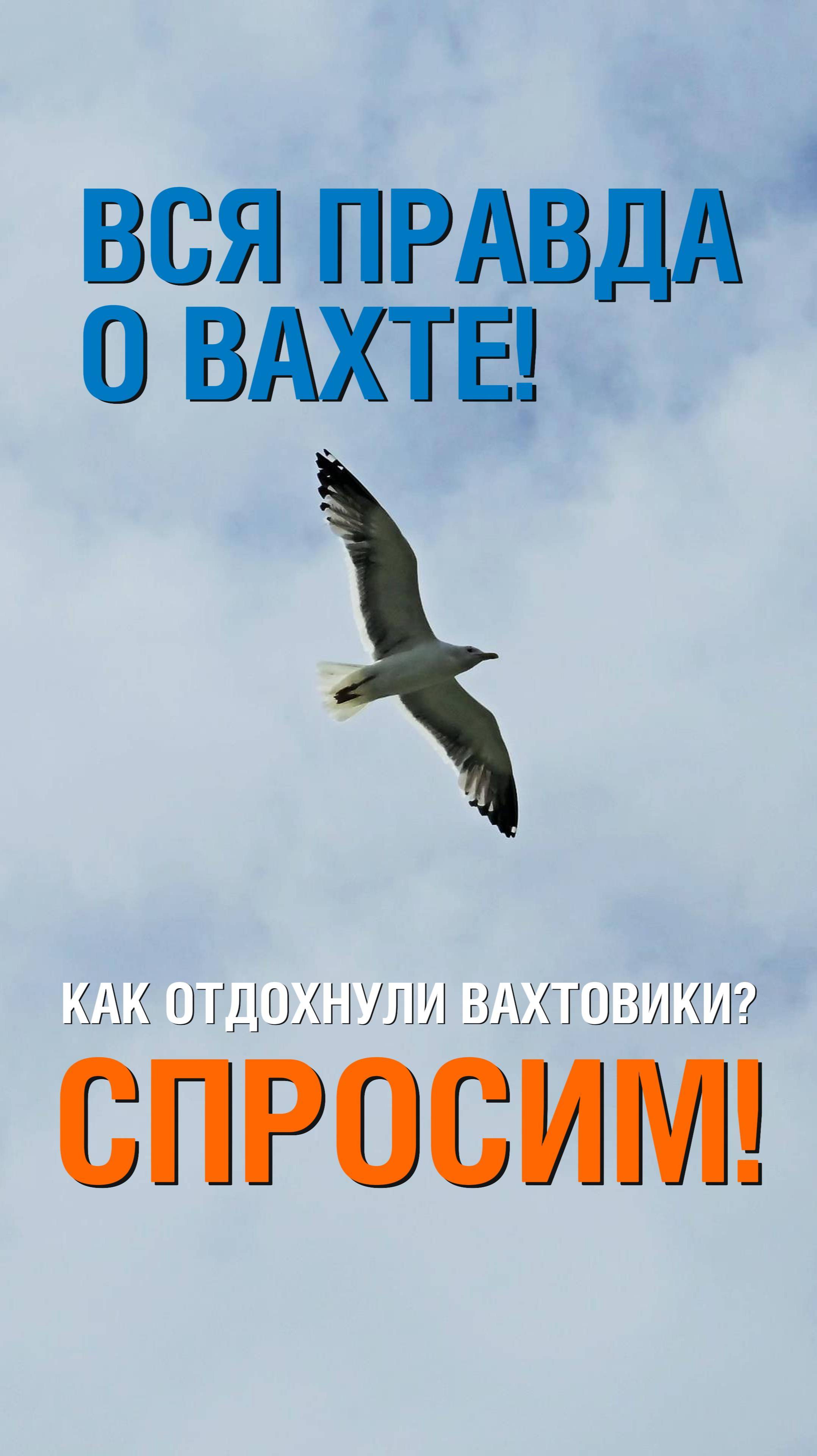 ВСЯ ПРАВДА О ВАХТЕ! Идеальный отпуск для вахтовиков Ямбурга...